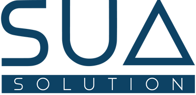 The Complete Guide (video) for your Systems Understanding Aid (SUA) Pr ...